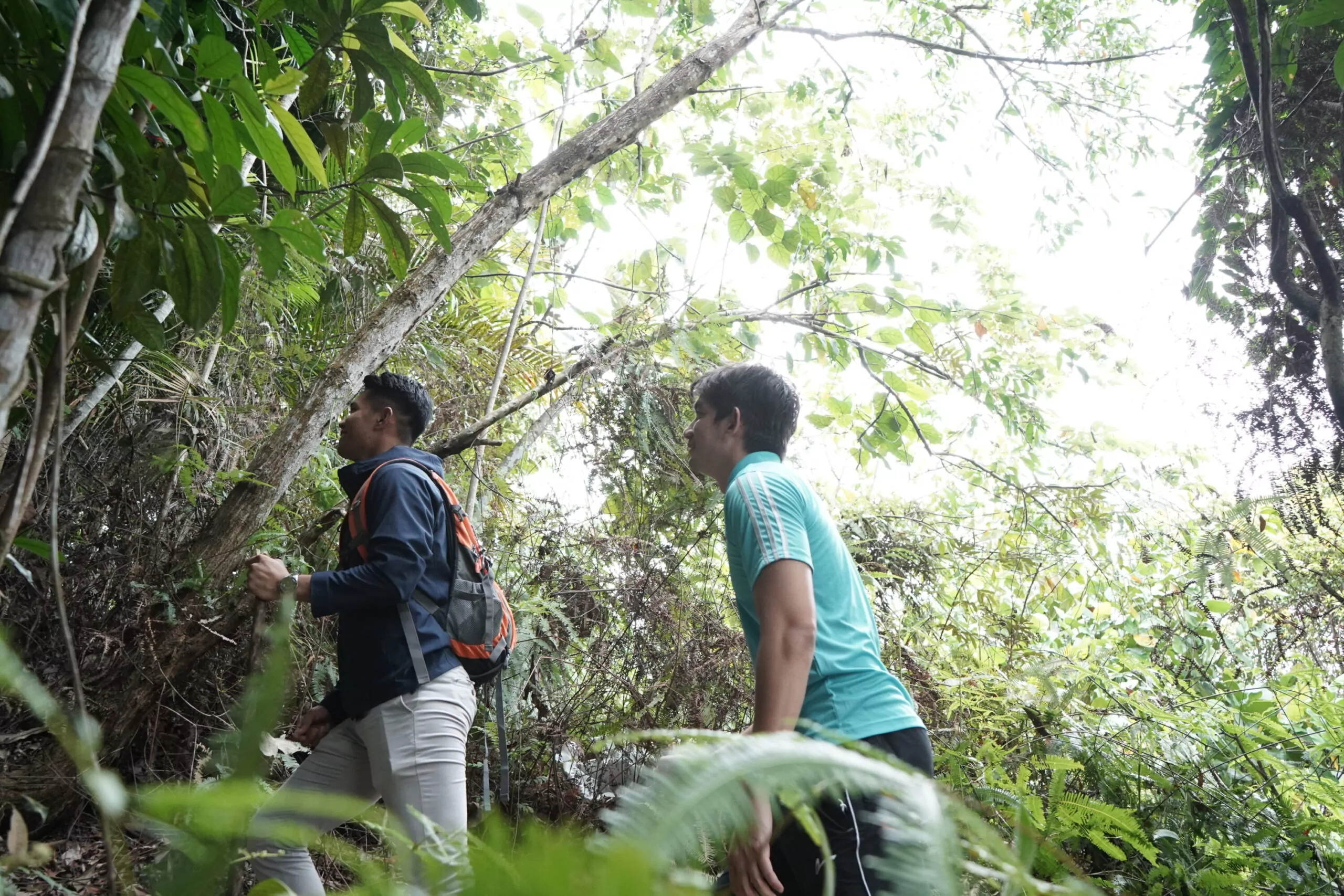 Explore Nature's Beauty at Bukit Wawasan | Espira Kinrara